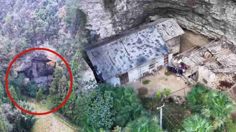 Descubren en China a hombre que ha vivido más de 50 años en una cueva ...